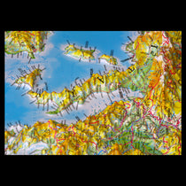 Europe Three-Dimensional 3D Raised Relief Map – GeoMart
